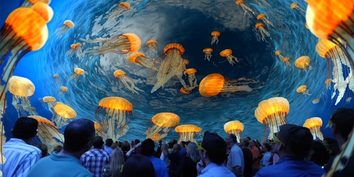 What is Experience Design? | Falcon's Creative Group